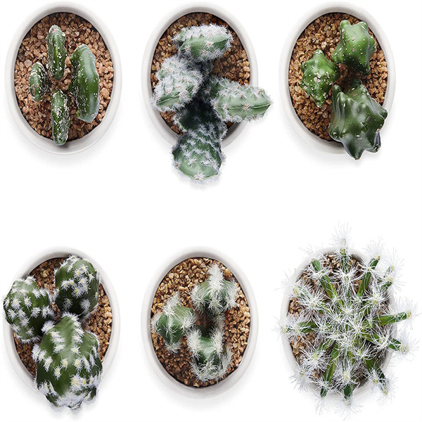 2.5'' ODM Potted Artificial Cactus for Office - toptradesourcing