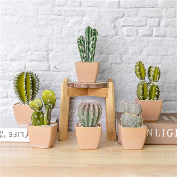 2.5'' ODM Potted Artificial Cactus for Office - toptradesourcing